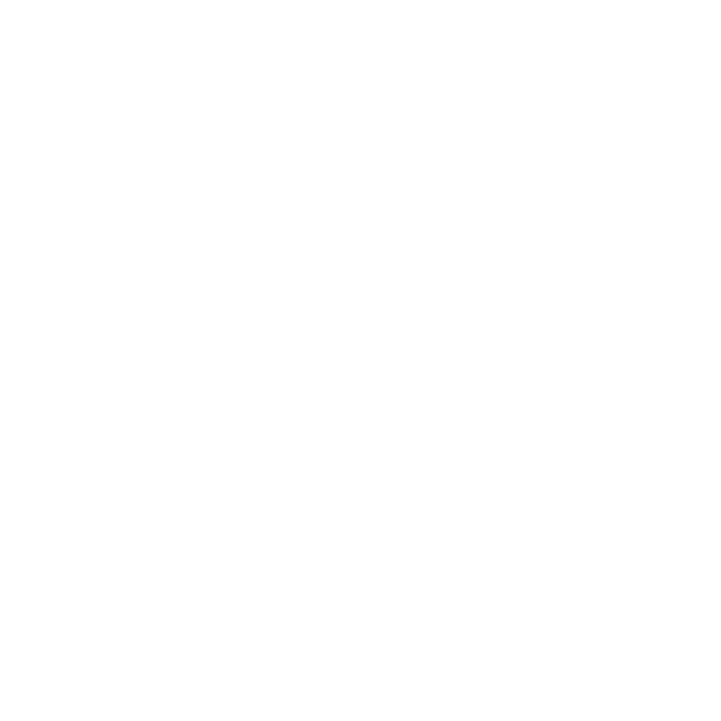 Mentorship – Data Ladder